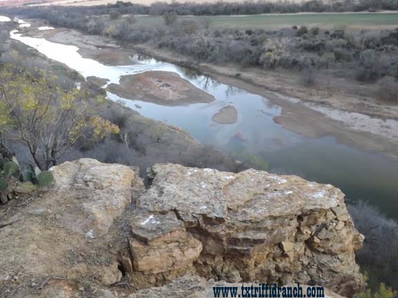 Tales From The Ranch: Brazos overview | The Texas Triffid Ranch